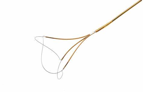 Stone Extraction Basket: A Solution for Removing Kidney Stones